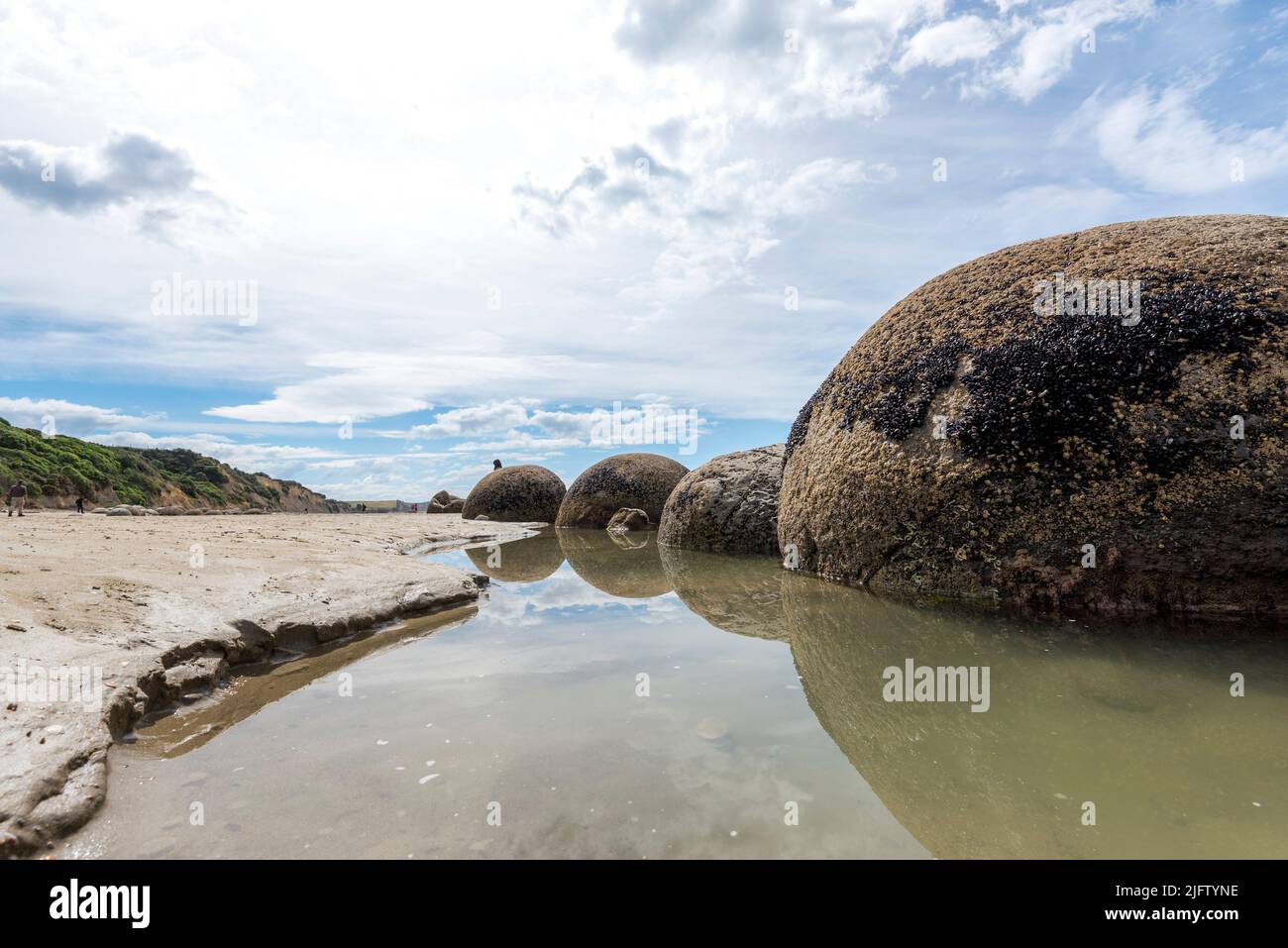 The Moeraki Boulders Beach with big rocks in South Island, New Zealand ...