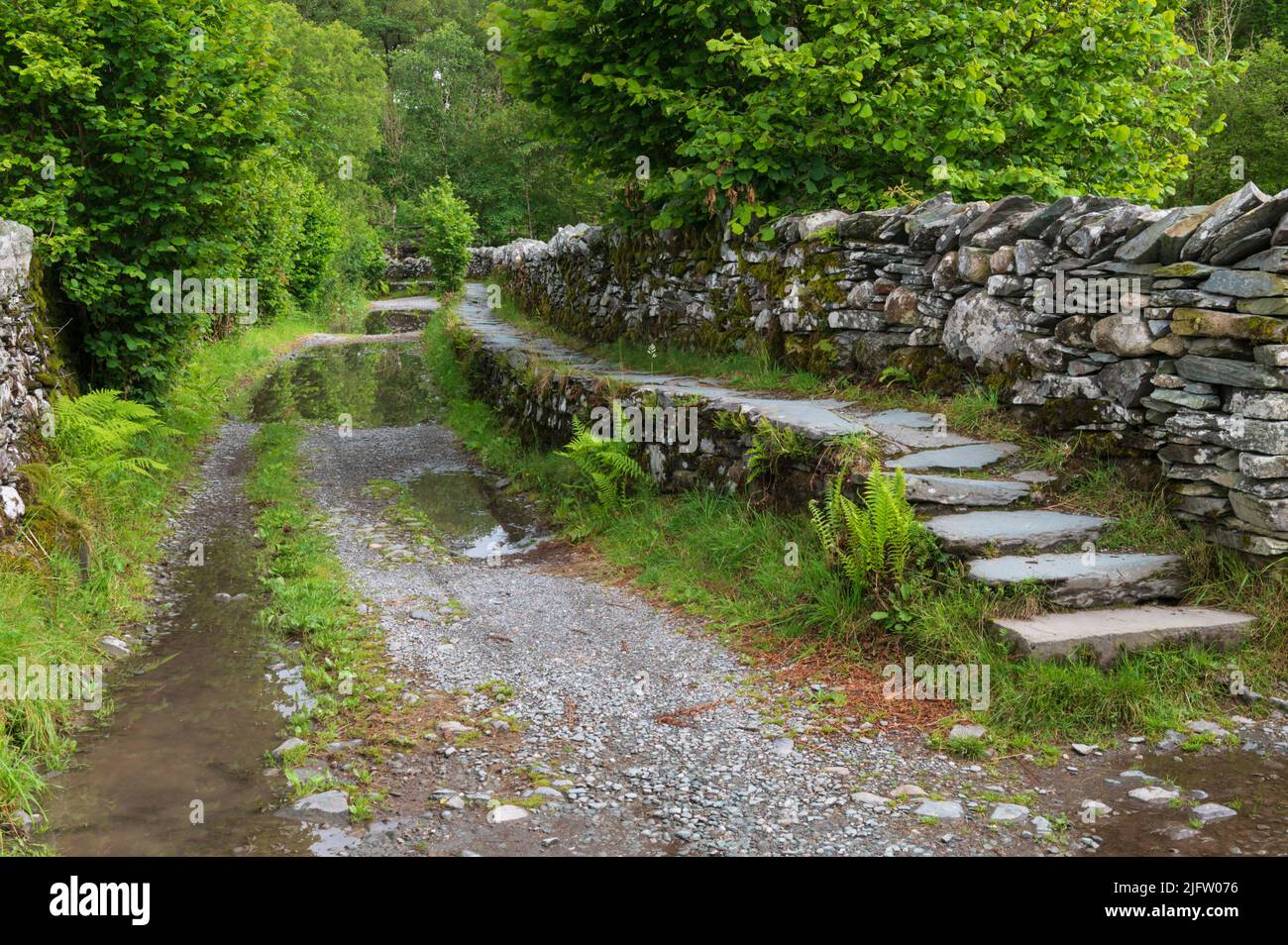 Raised footpath along Fitz Steps in Little Langdale Cumbria Stock Photo ...