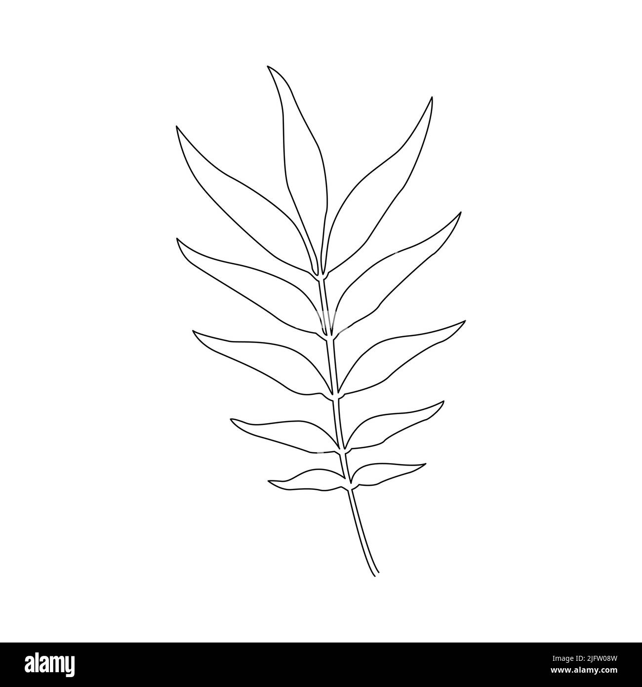 Beautiful leaf lines Stock Vector Images - Alamy