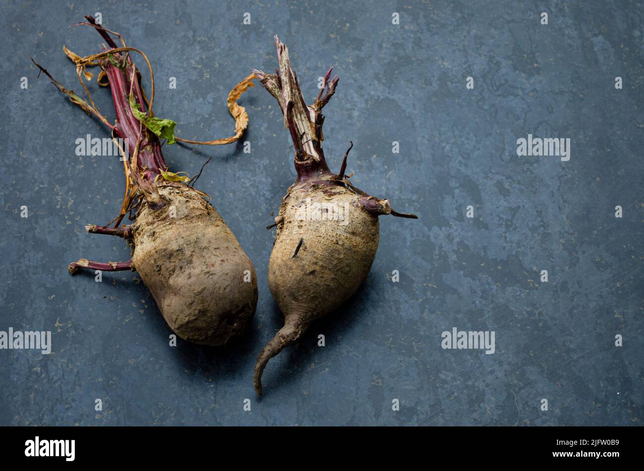 The root of two organic and home grown beetroots Stock Photo - Alamy