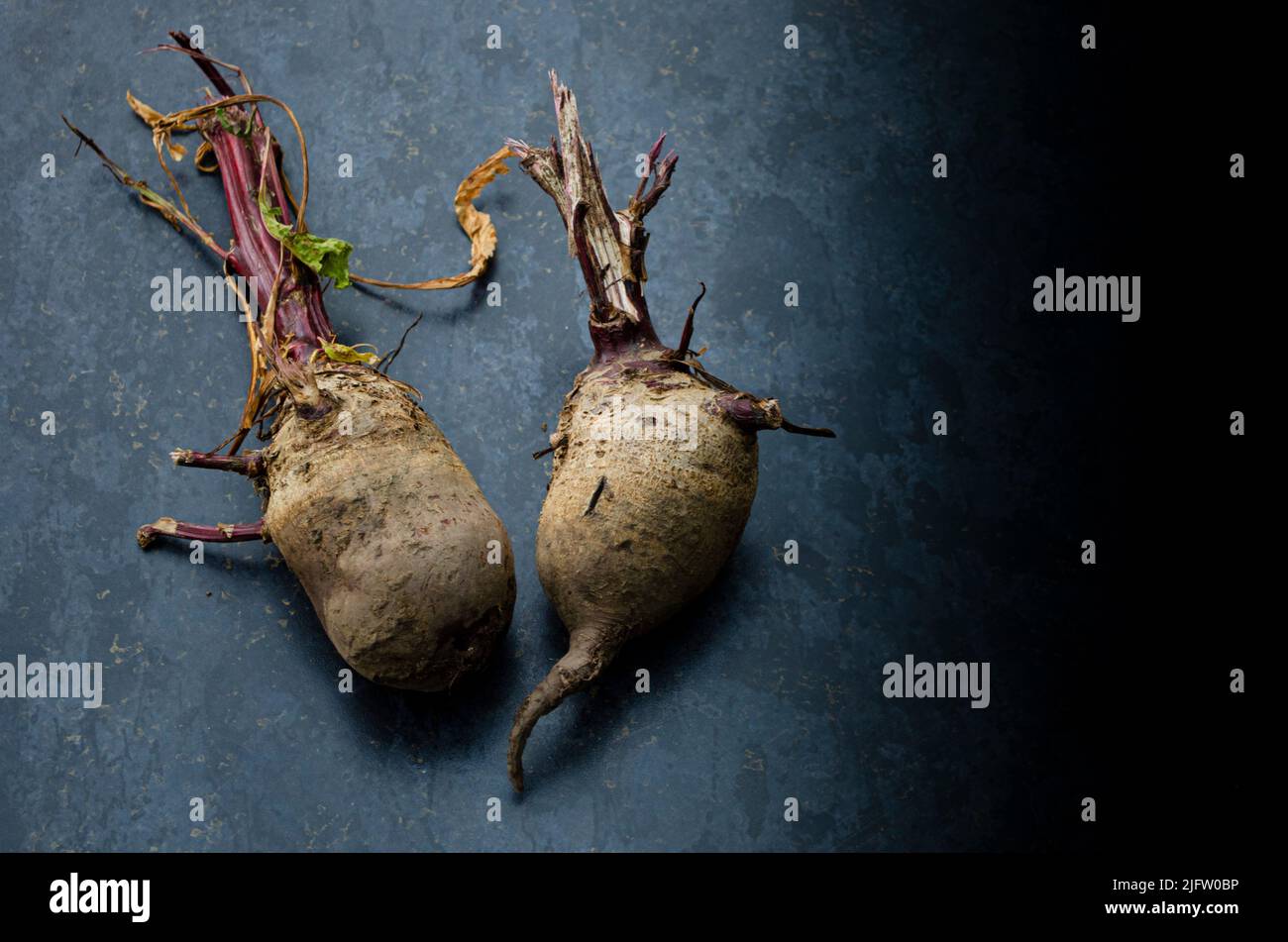 The root of two organic and home grown beetroots Stock Photo - Alamy