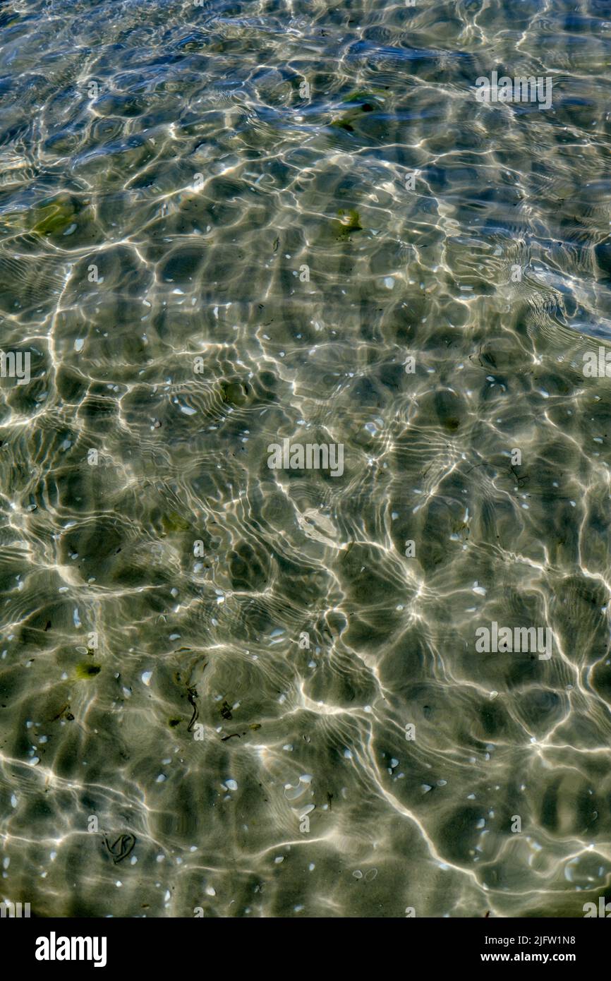 A closeup of the shallow seabed with shells at the bottom, crystal ...