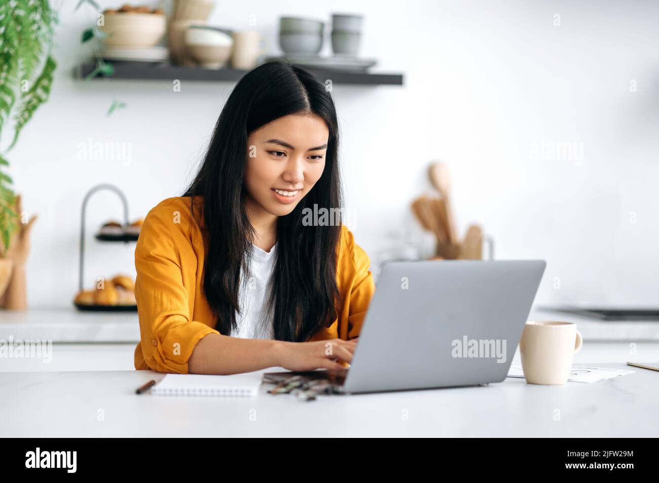 Positive friendly smiling Chinese girl, freelancer, programmer, manager, sitting at the table ...