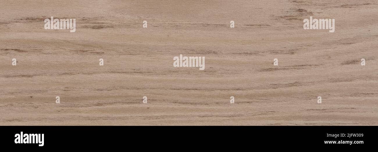 Beautiful light grey oak veneer. Natural wood texture, pattern Stock ...