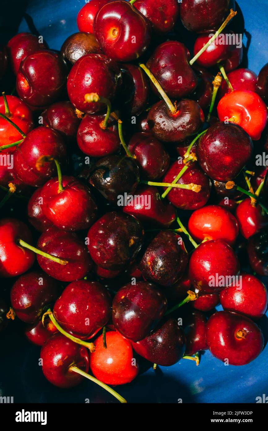 red cherries with green stems in blue bowl, close-up Stock Photo - Alamy