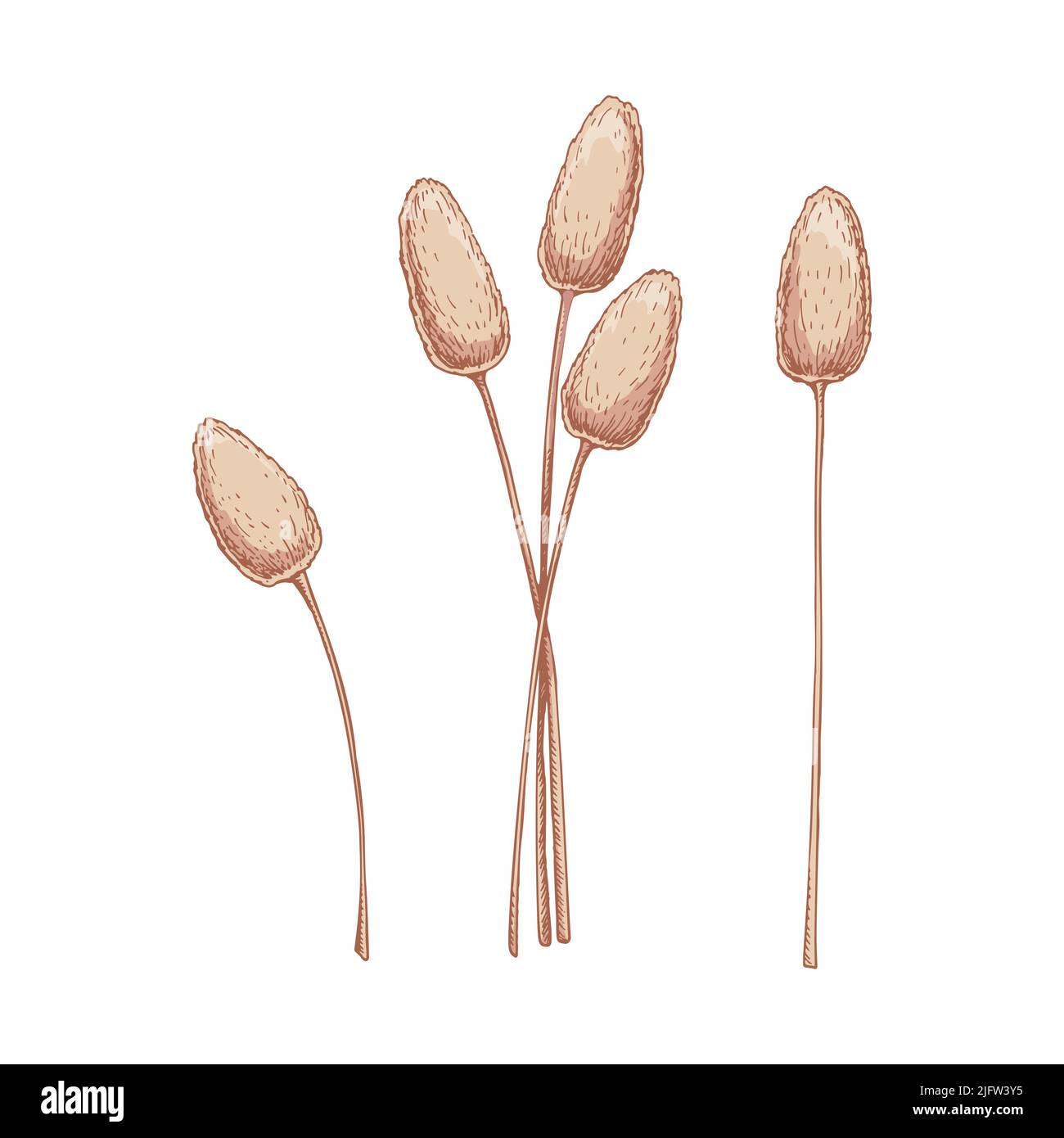 Soft pastel sketch style hi-res stock photography and images - Alamy