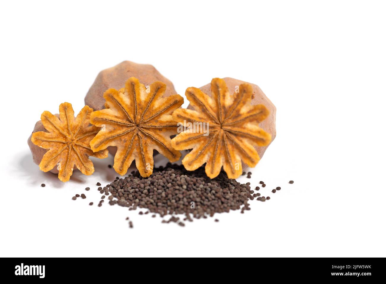 Dried poppy capsules with seeds against white background Stock Photo ...