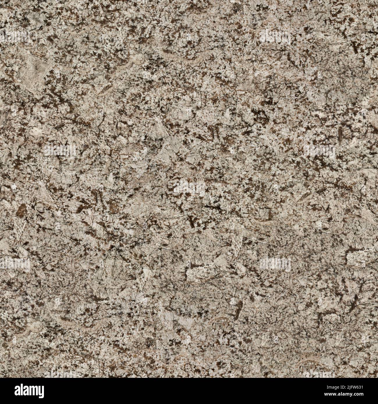 Metamorphic rock quartz detail hi-res stock photography and images - Alamy