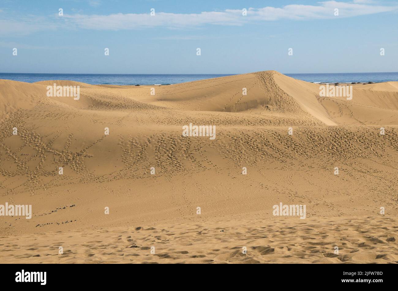 African European Sand Dune Desert Landscape in Gran Canaria Island ...