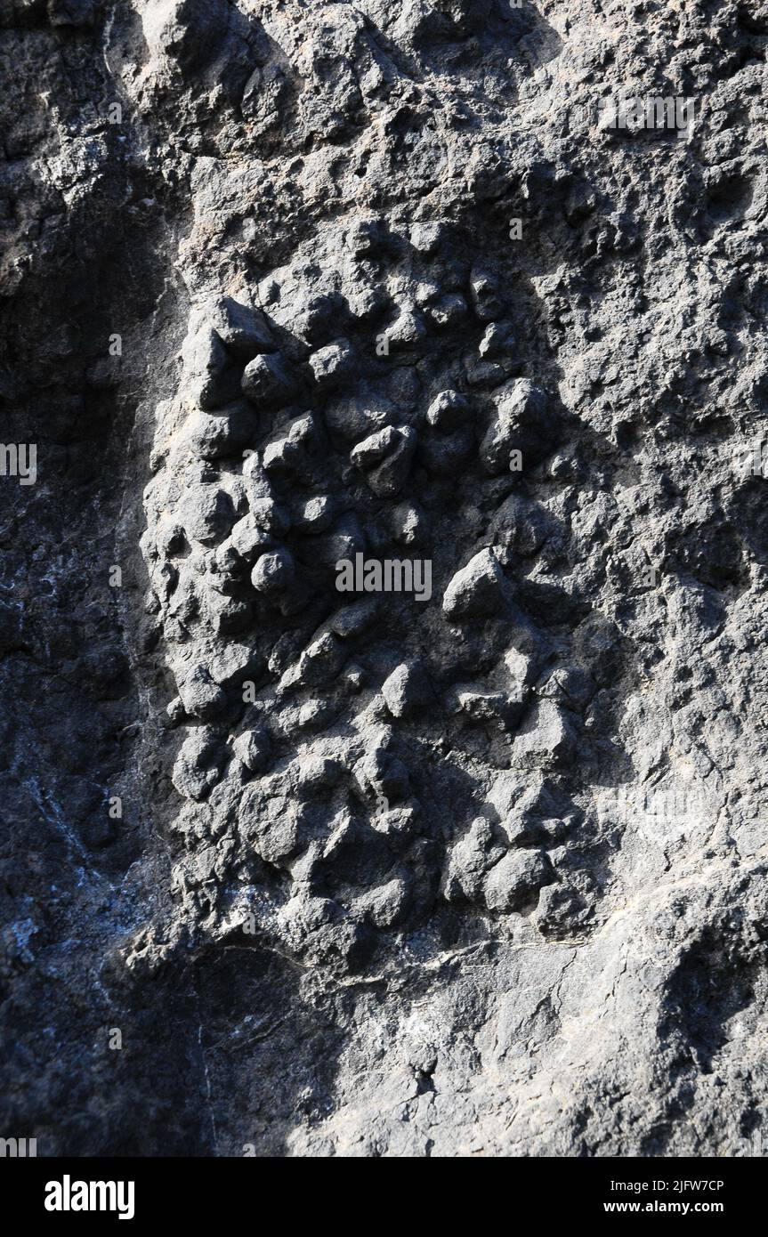 Stone Texture Hardened Lava in Tenerife Volcanic Canary Island Stock ...