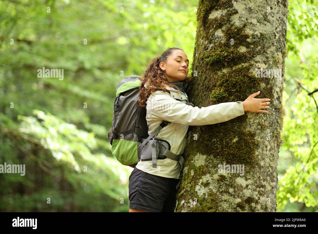 Trekker hiker hi-res stock photography and images - Alamy