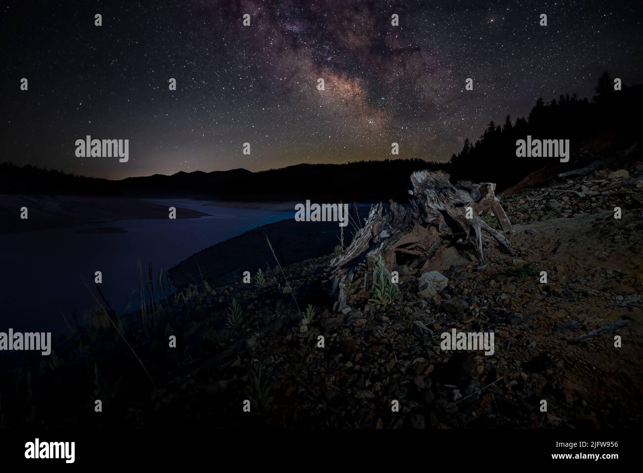 Old stump on the shore of Trinity Lake in Trinity County, California ...
