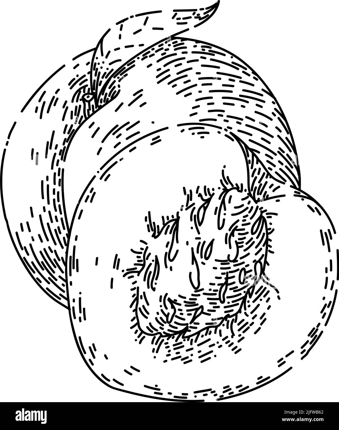 Wet peach with leaf Stock Vector Images - Alamy