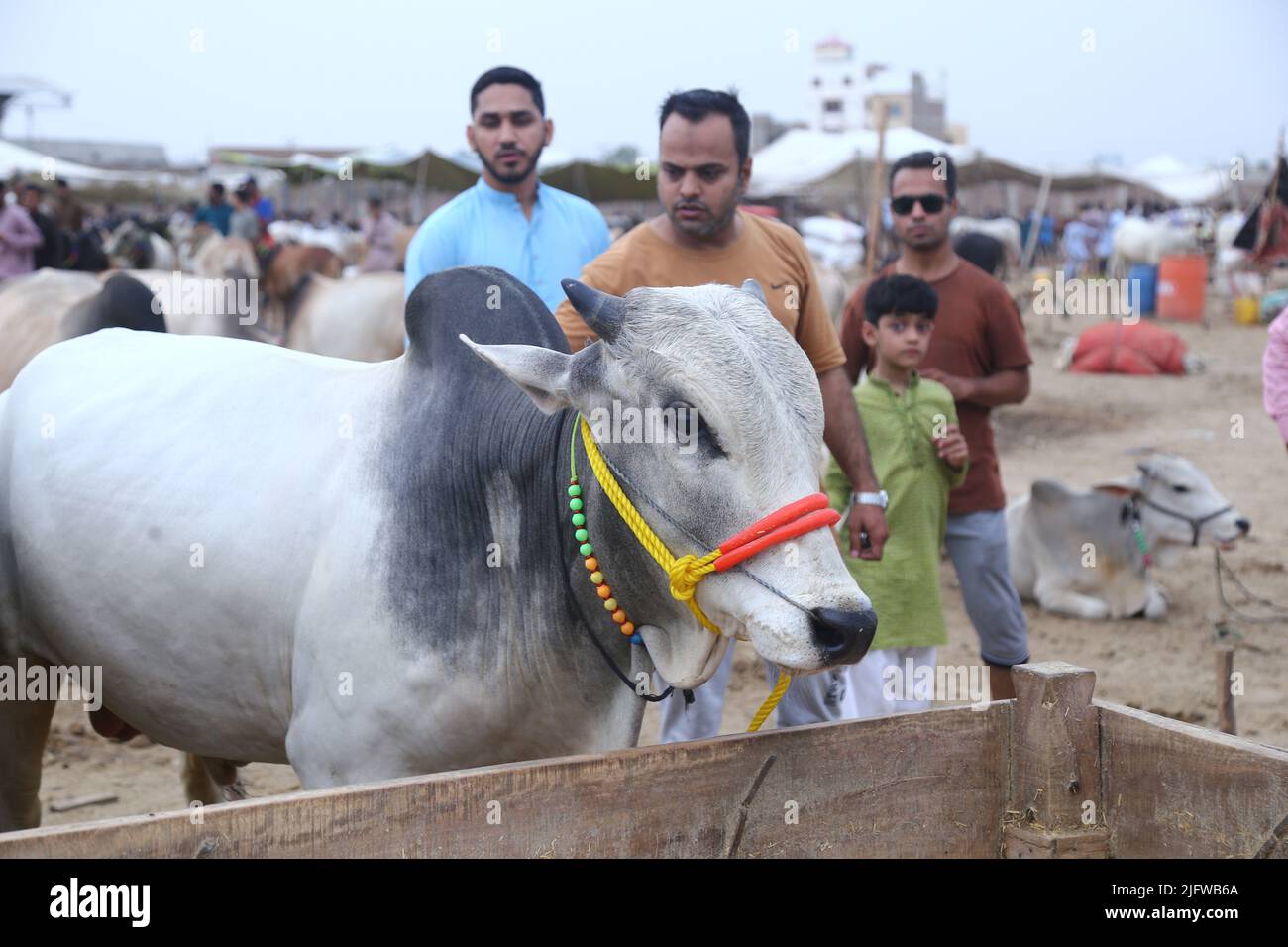(7/1/2022) Buyers and sellers gather together at the sacrificial animal ...