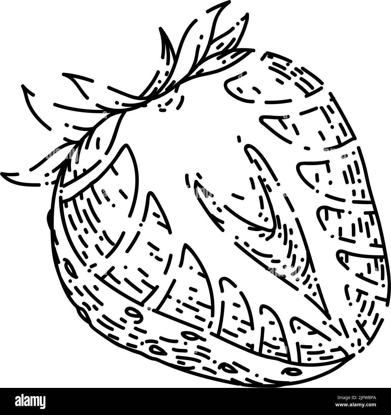 strawberry sketch hand drawn vector Stock Vector Image & Art - Alamy