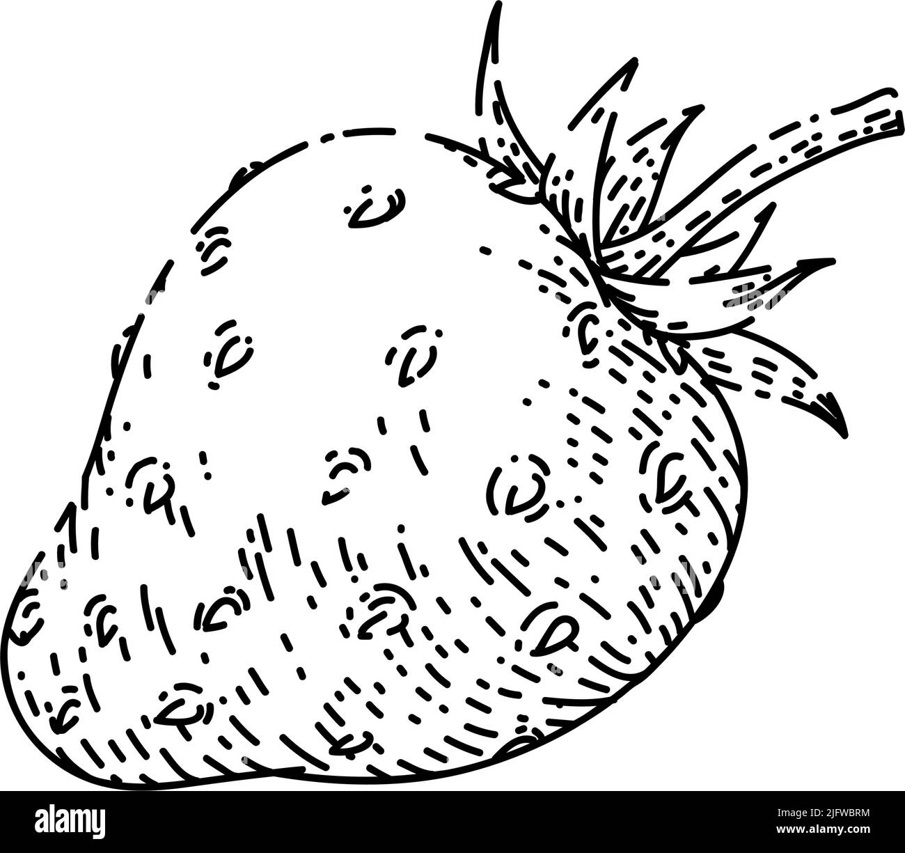 strawberry sketch hand drawn vector Stock Vector Image & Art - Alamy