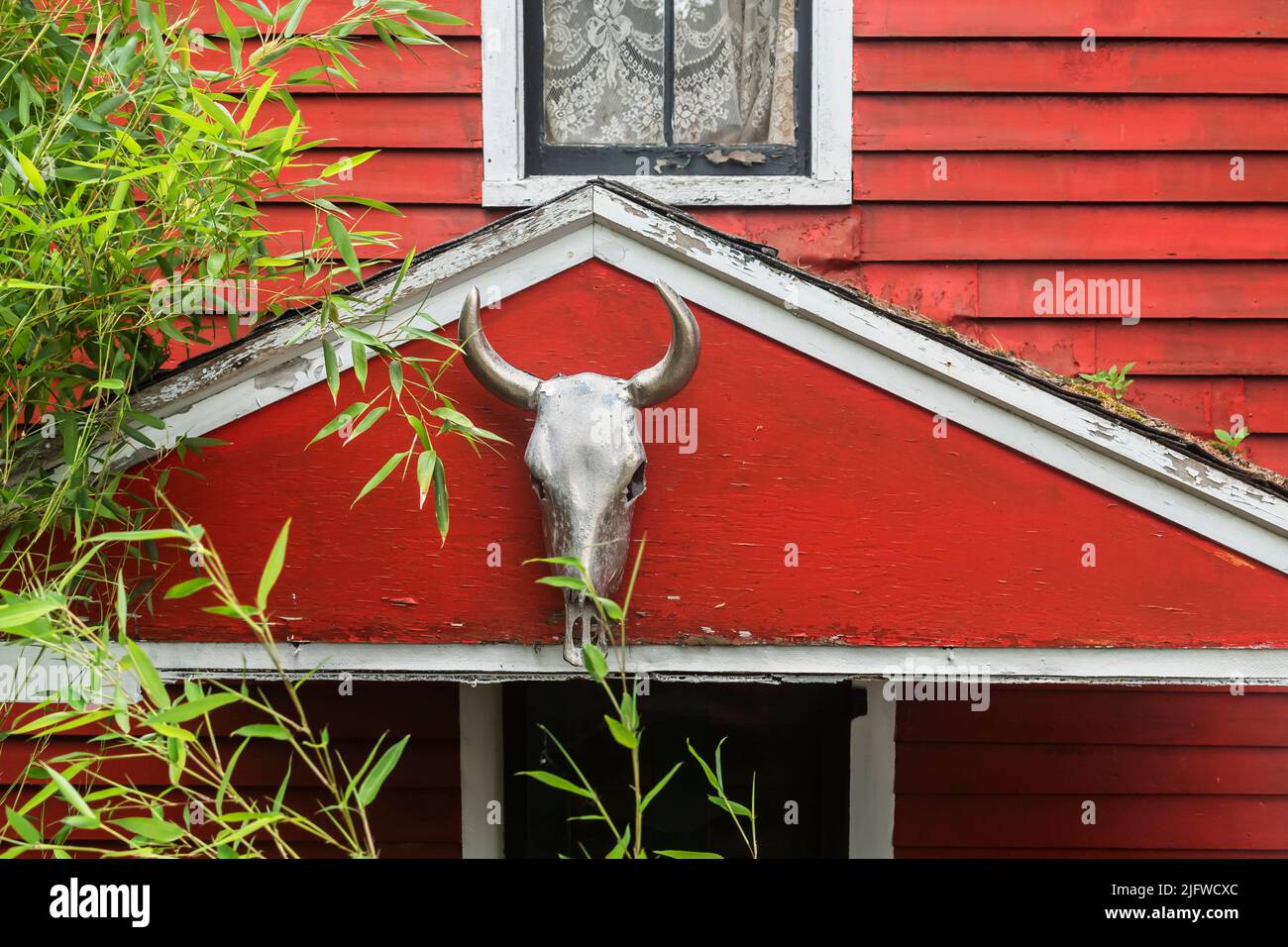 Red wooden house with bull skull in front. Frenchtown one of America's ...