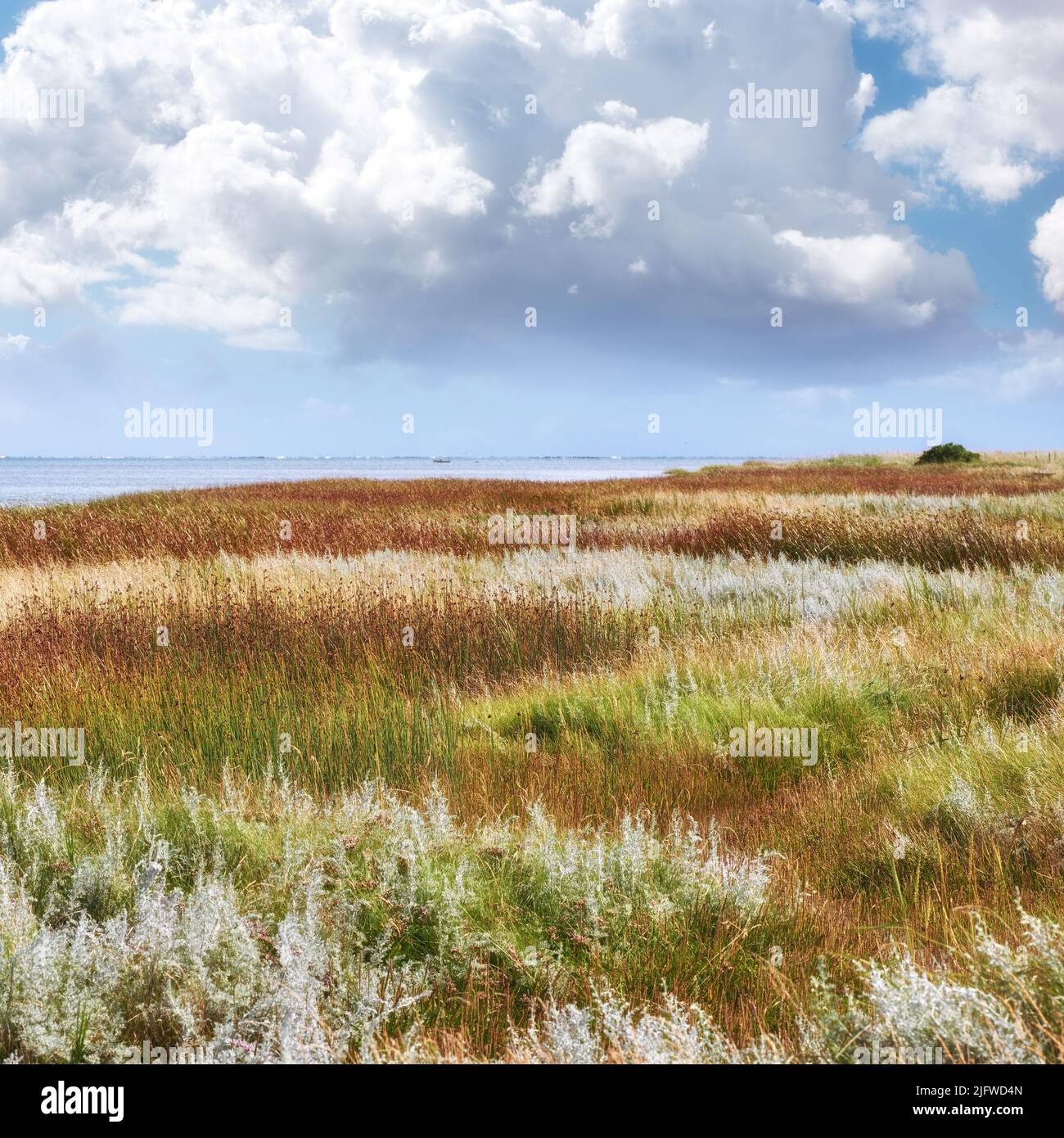 Beautiful scenic landscape view of a lush green grassy meadow with ...