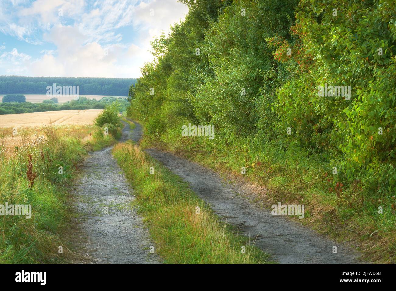 Straight And Narrow Path Clipart