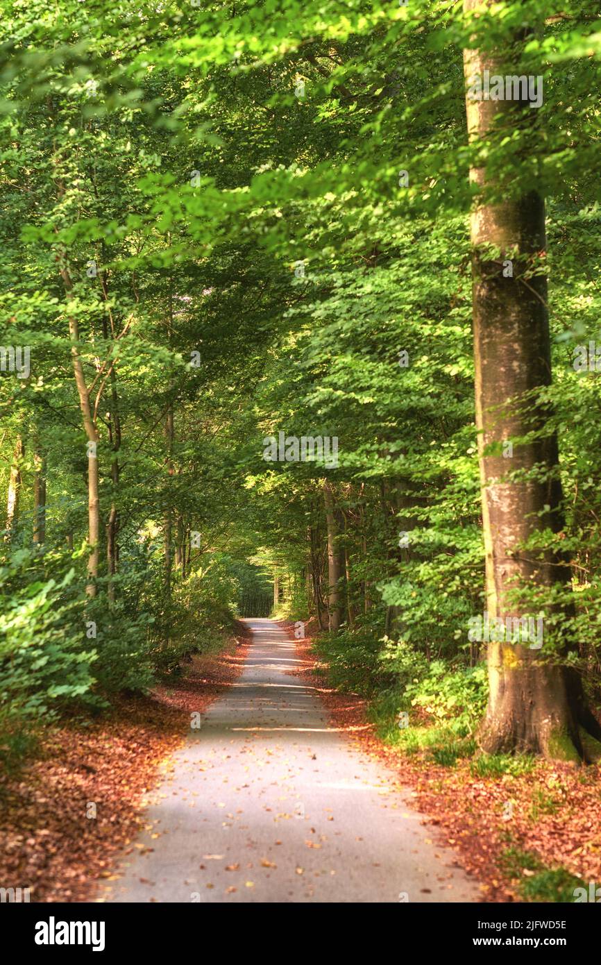 Tar path hi-res stock photography and images - Alamy