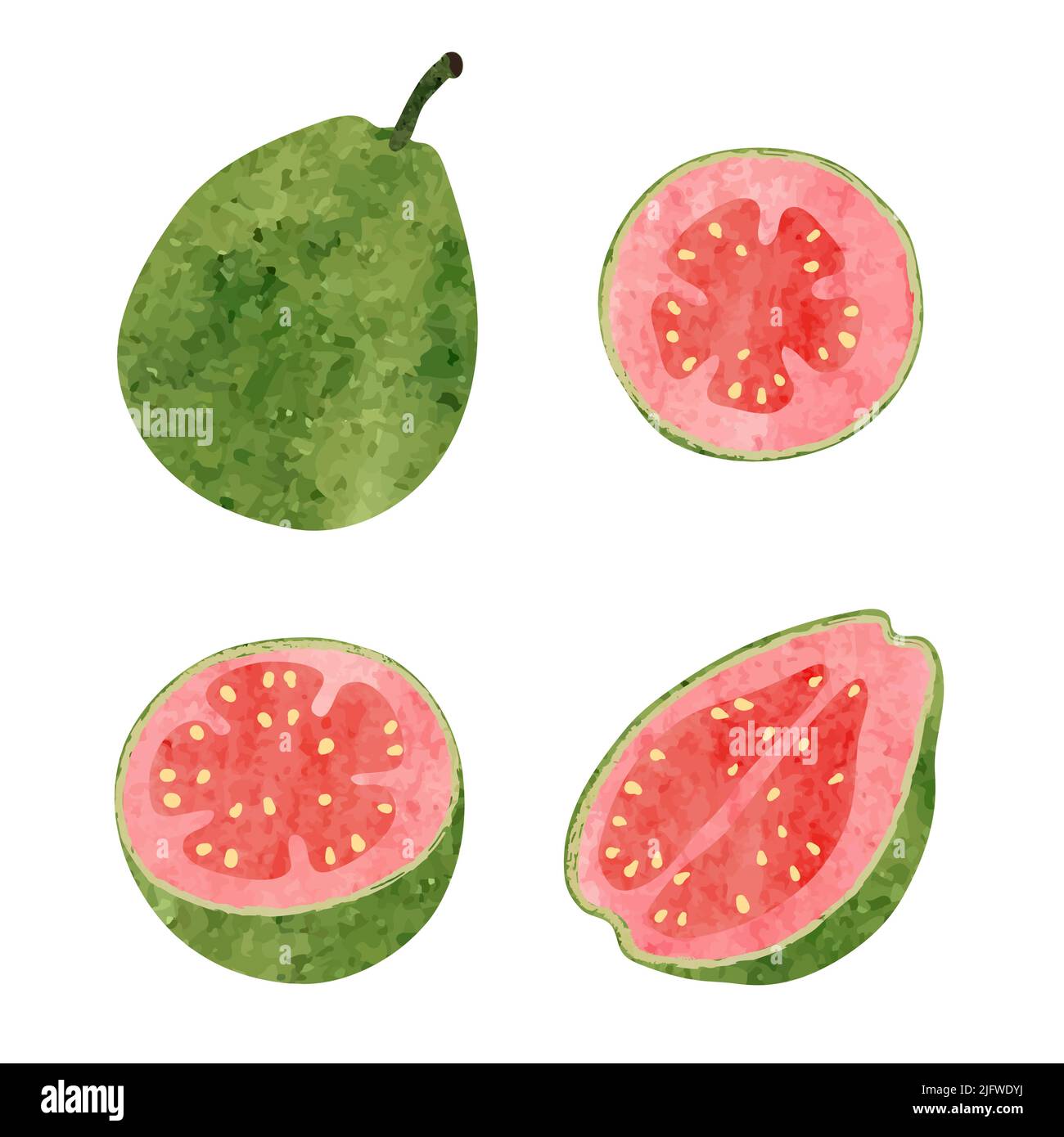 Guava set. Half, slice and whole guava fruit isolated on white ...