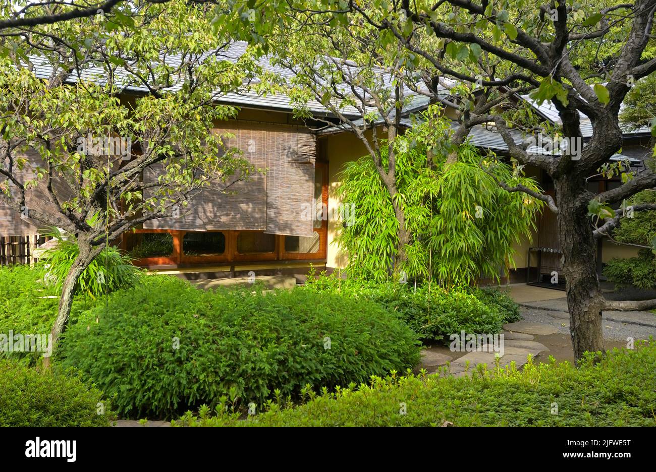 Daily scenes from a fall afternoon in the Shinjuku Gyoen National ...