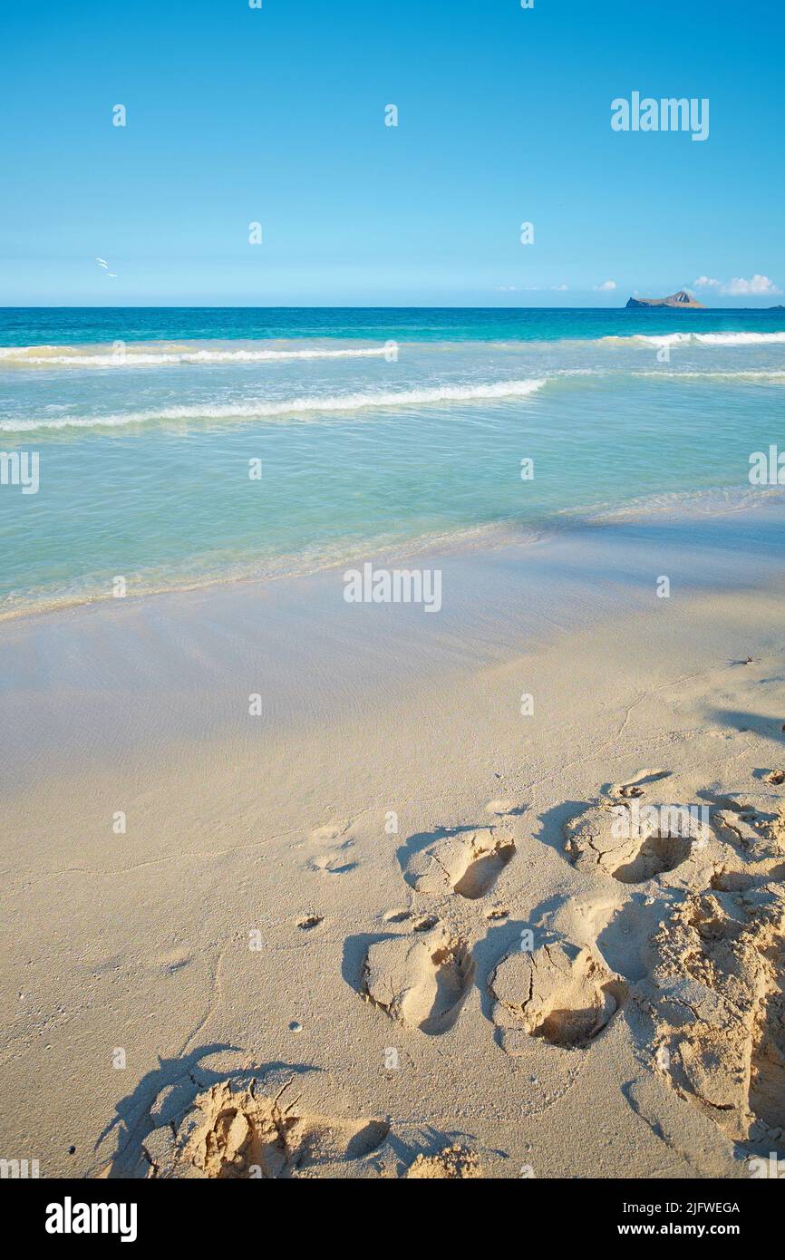 Waves washing onto sandy beach shore with footprints on a tropical and ...