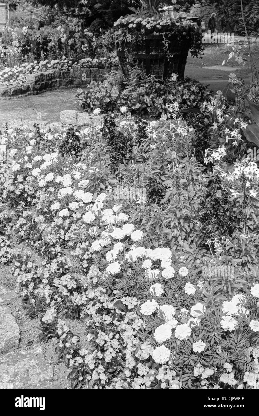 Boscawen park hi-res stock photography and images - Alamy