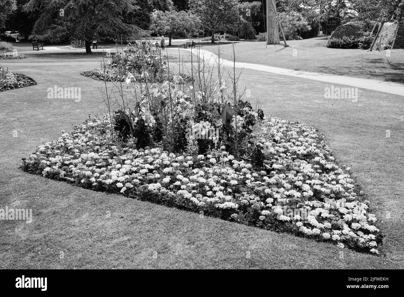Views of Boscawen Park, Malpas, Truro, Cornwall Stock Photo - Alamy