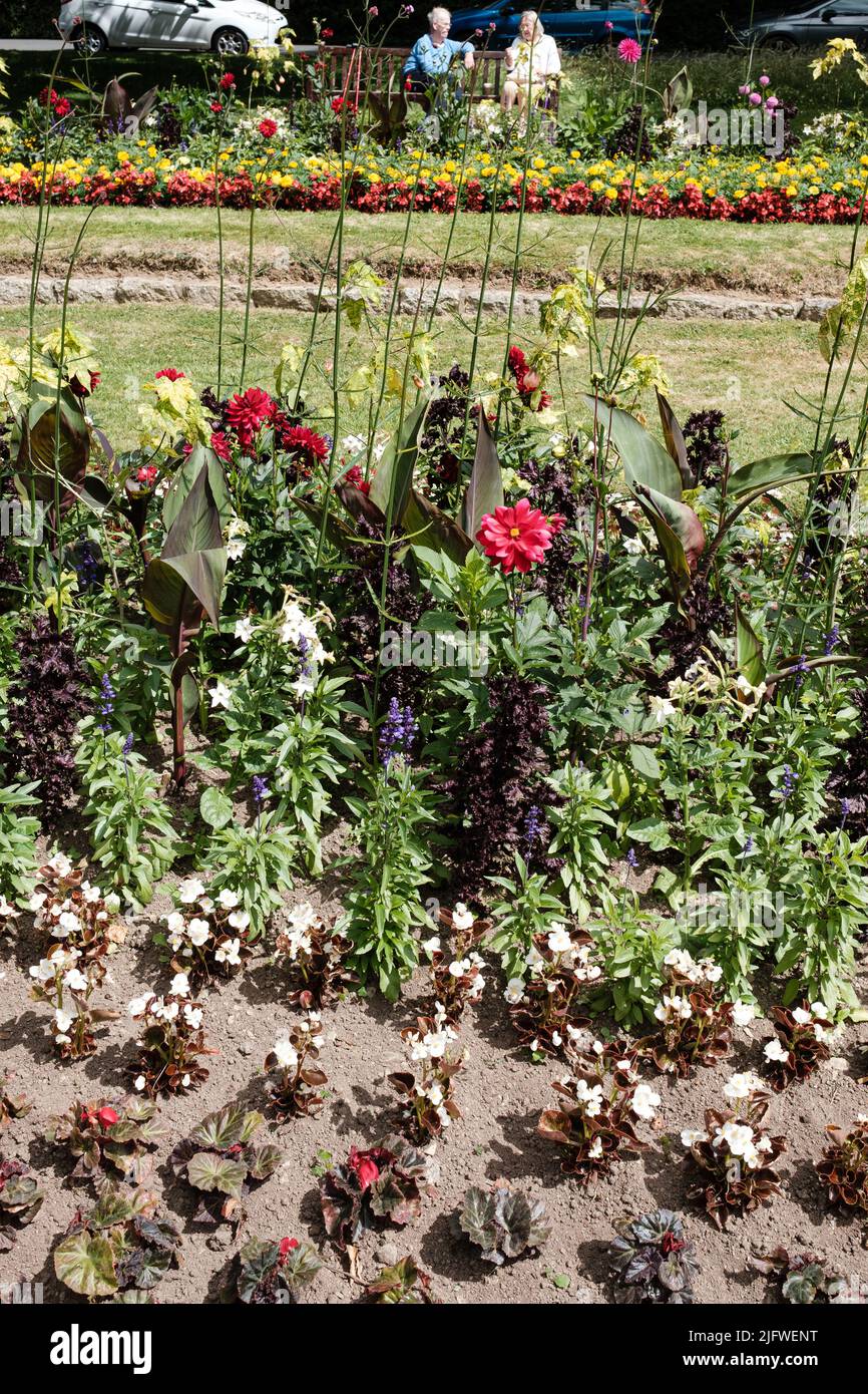 Views of Boscawen Park, Malpas, Truro, Cornwall Stock Photo - Alamy