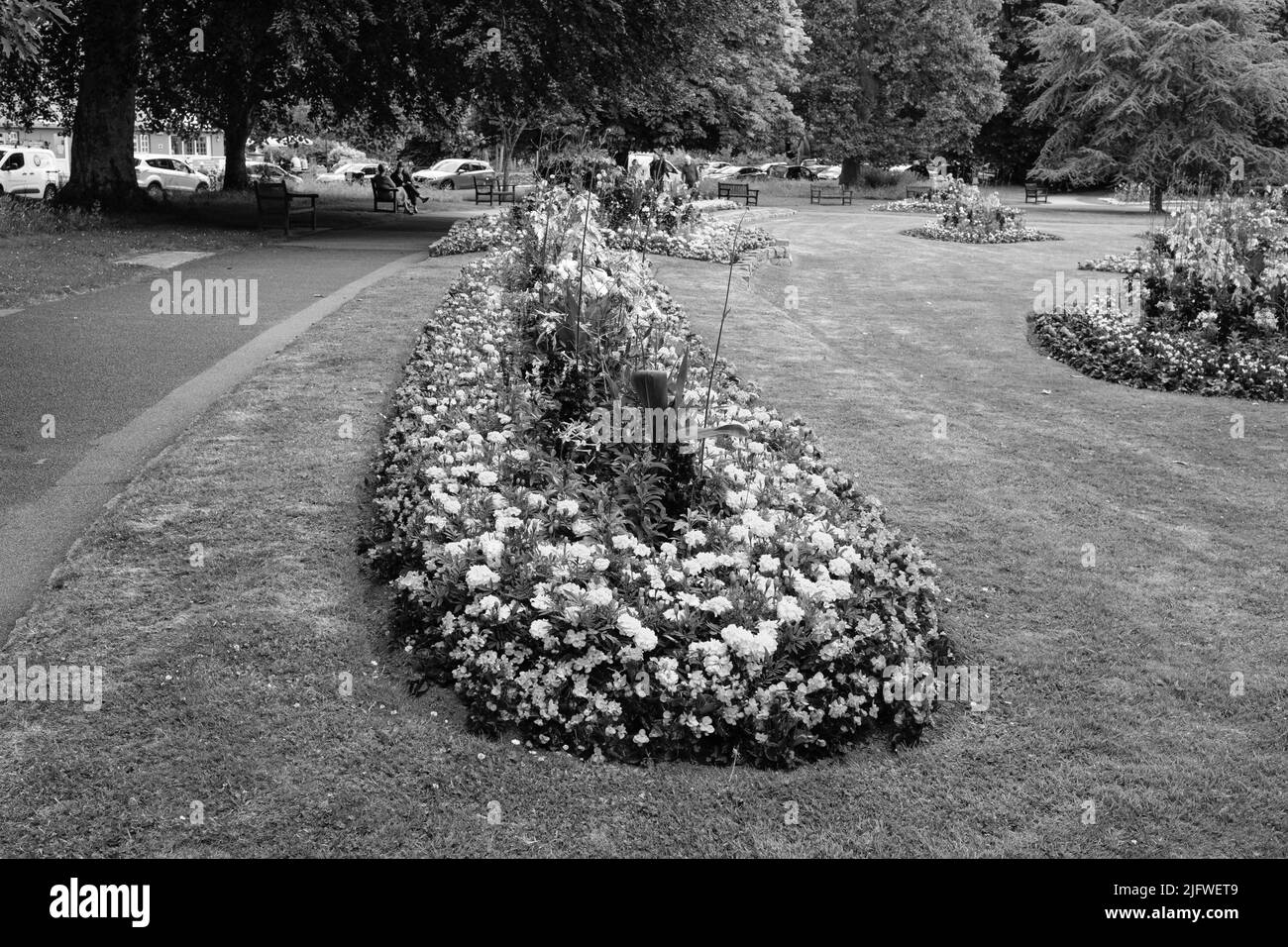 Views of Boscawen Park, Malpas, Truro, Cornwall Stock Photo - Alamy