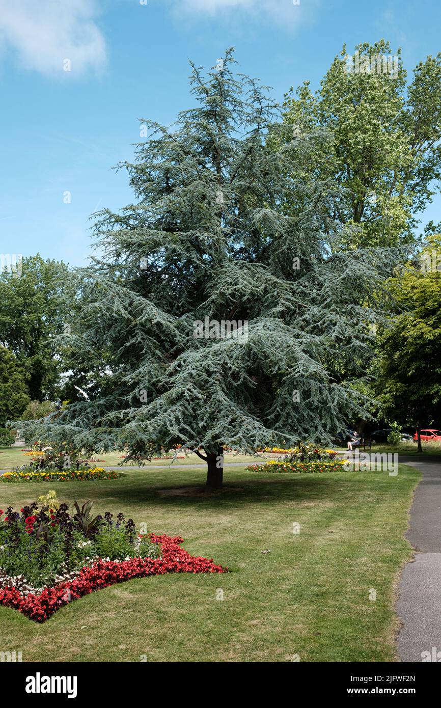 Boscawen park hi-res stock photography and images - Alamy