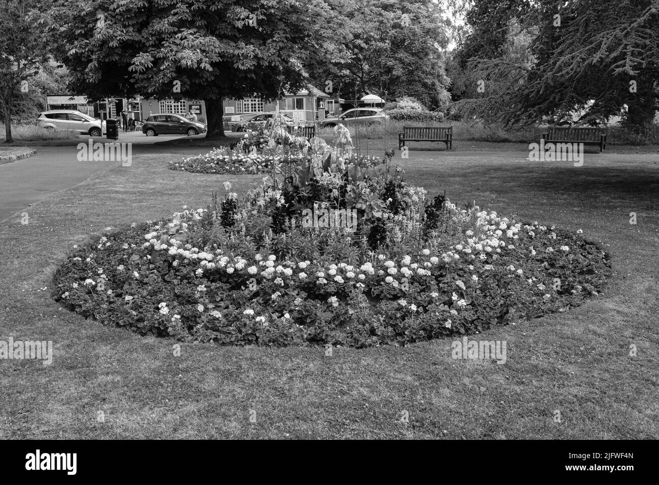 Views of Boscawen Park, Malpas, Truro, Cornwall Stock Photo - Alamy