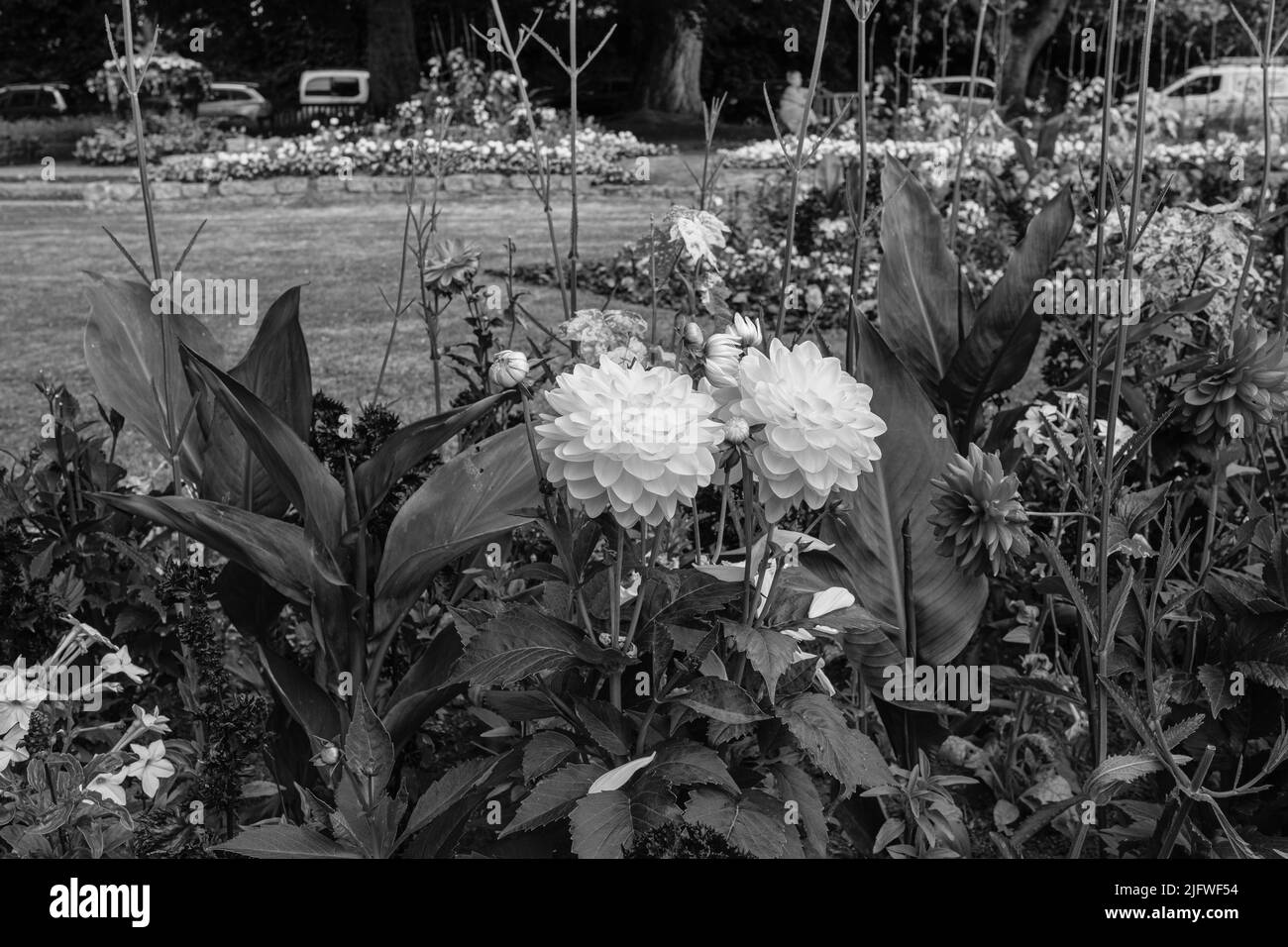 Views of Boscawen Park, Malpas, Truro, Cornwall Stock Photo - Alamy