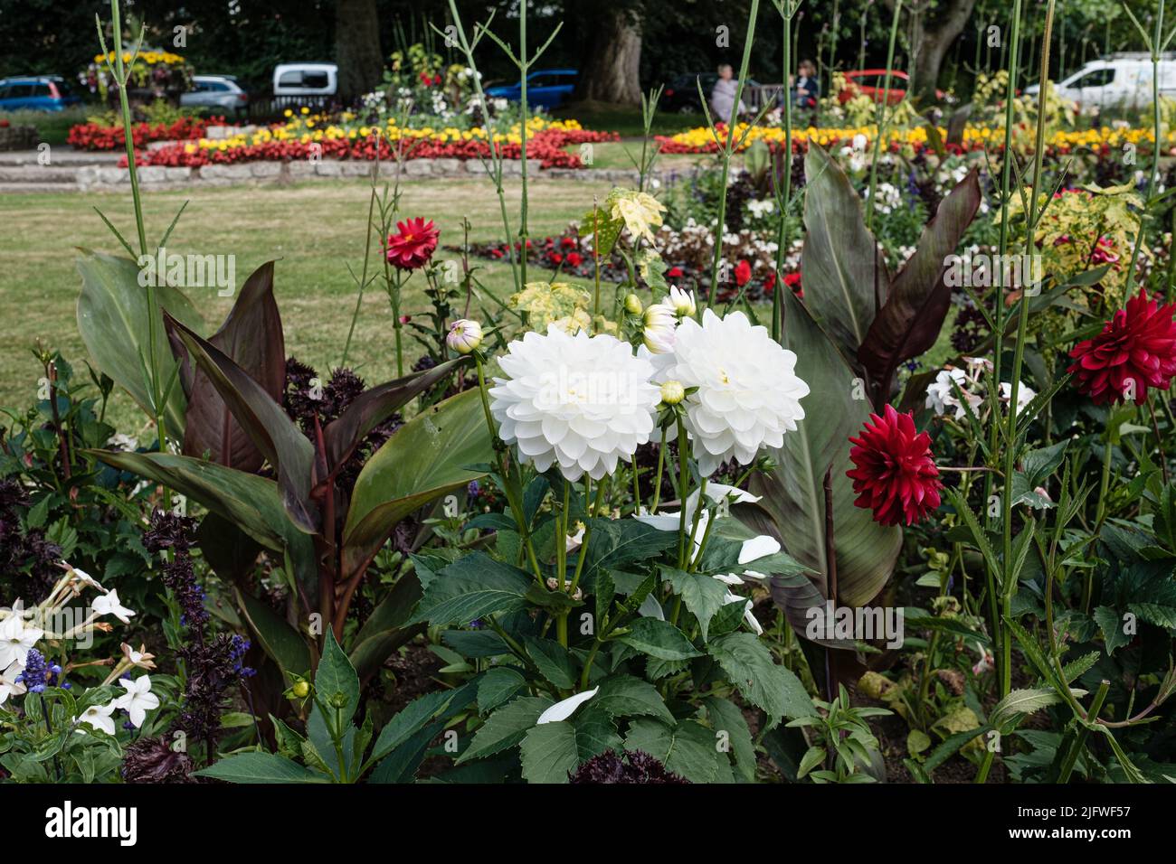 Views of Boscawen Park, Malpas, Truro, Cornwall Stock Photo - Alamy