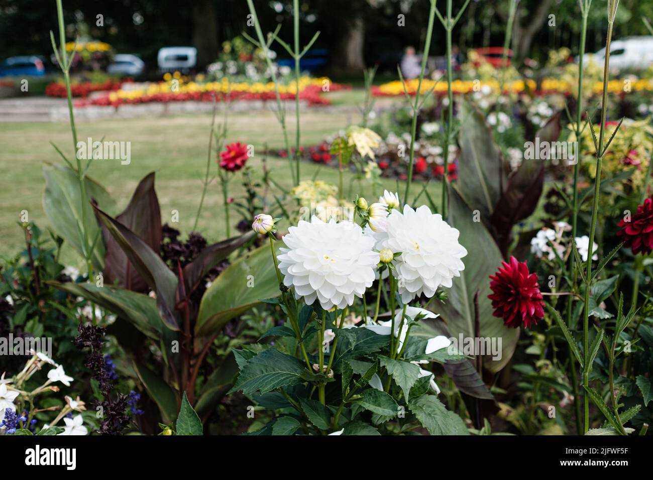 Views of Boscawen Park, Malpas, Truro, Cornwall Stock Photo - Alamy
