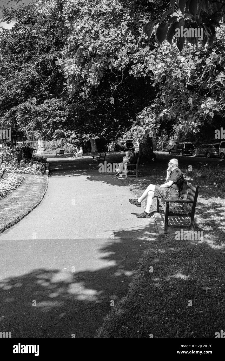 Views of Boscawen Park, Malpas, Truro, Cornwall Stock Photo - Alamy