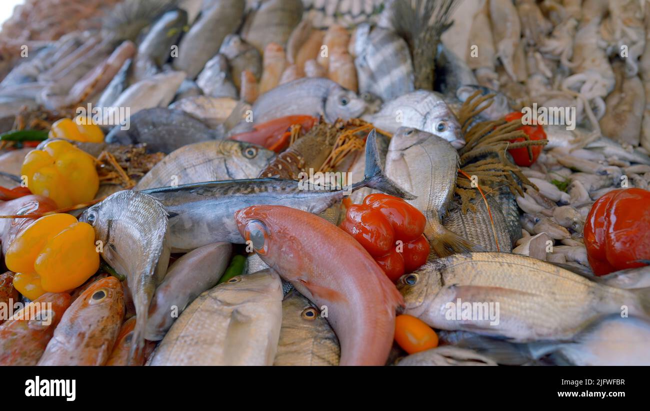 Seafood on the market. Action.A bright diverse big fish that is sold on ...