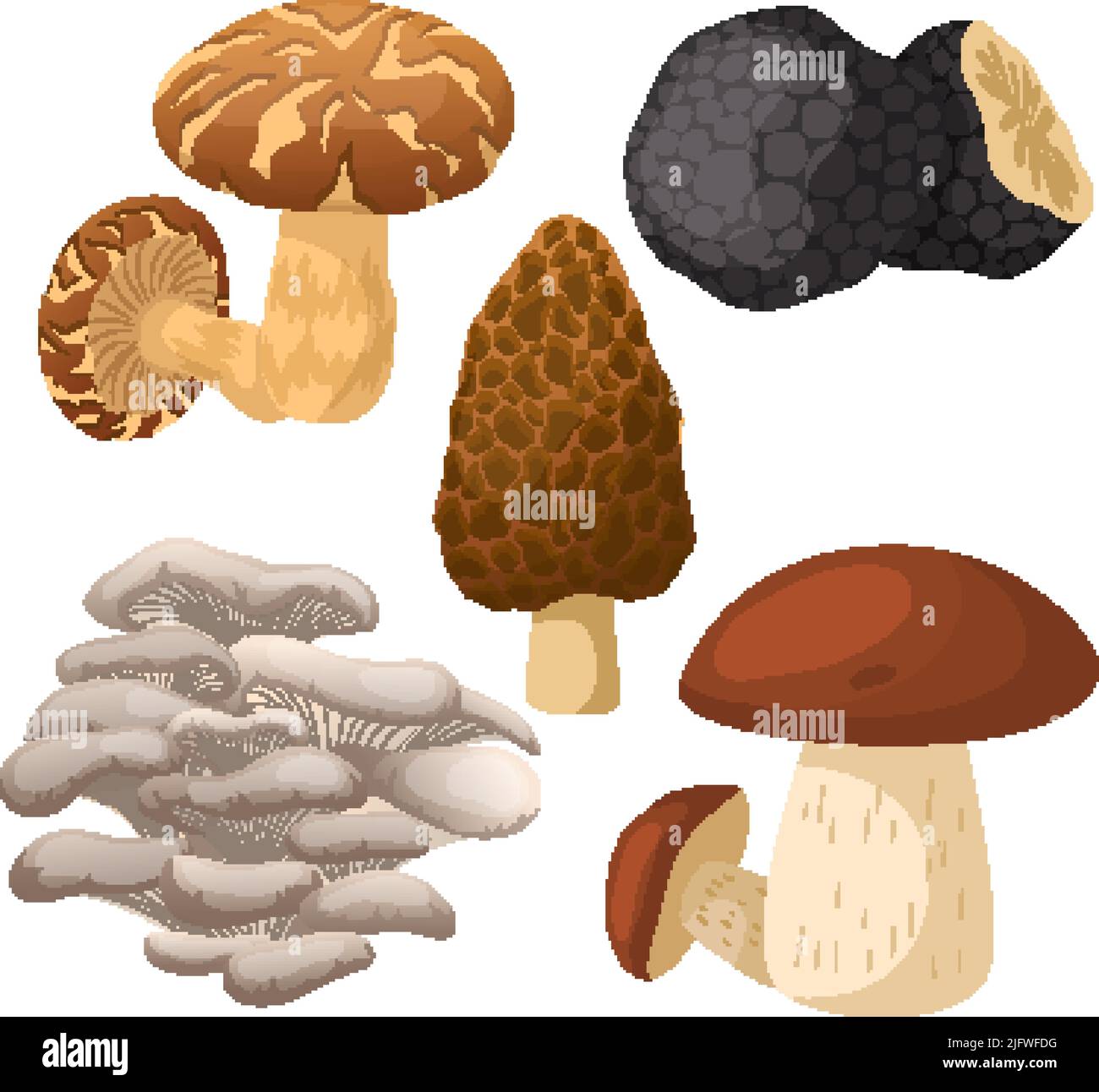 mushroom retro set cartoon vector Stock Vector Image & Art - Alamy