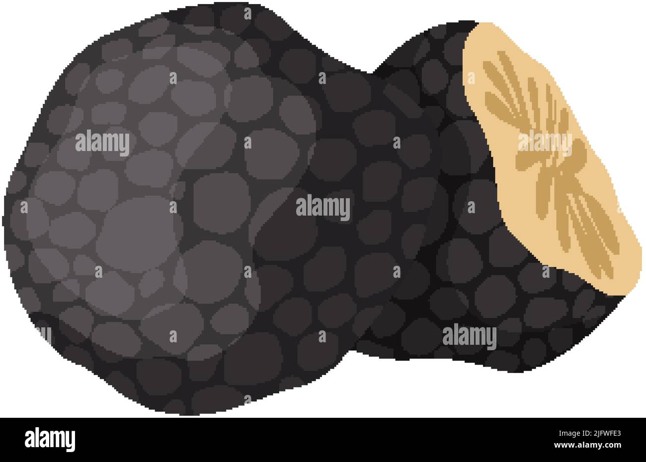 truffle mushroom cartoon vector Stock Vector Image & Art - Alamy