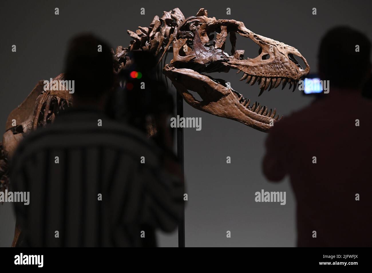 New York, USA. 05th July, 2022. A Gorgosaurus Skeleton is unveiled at ...