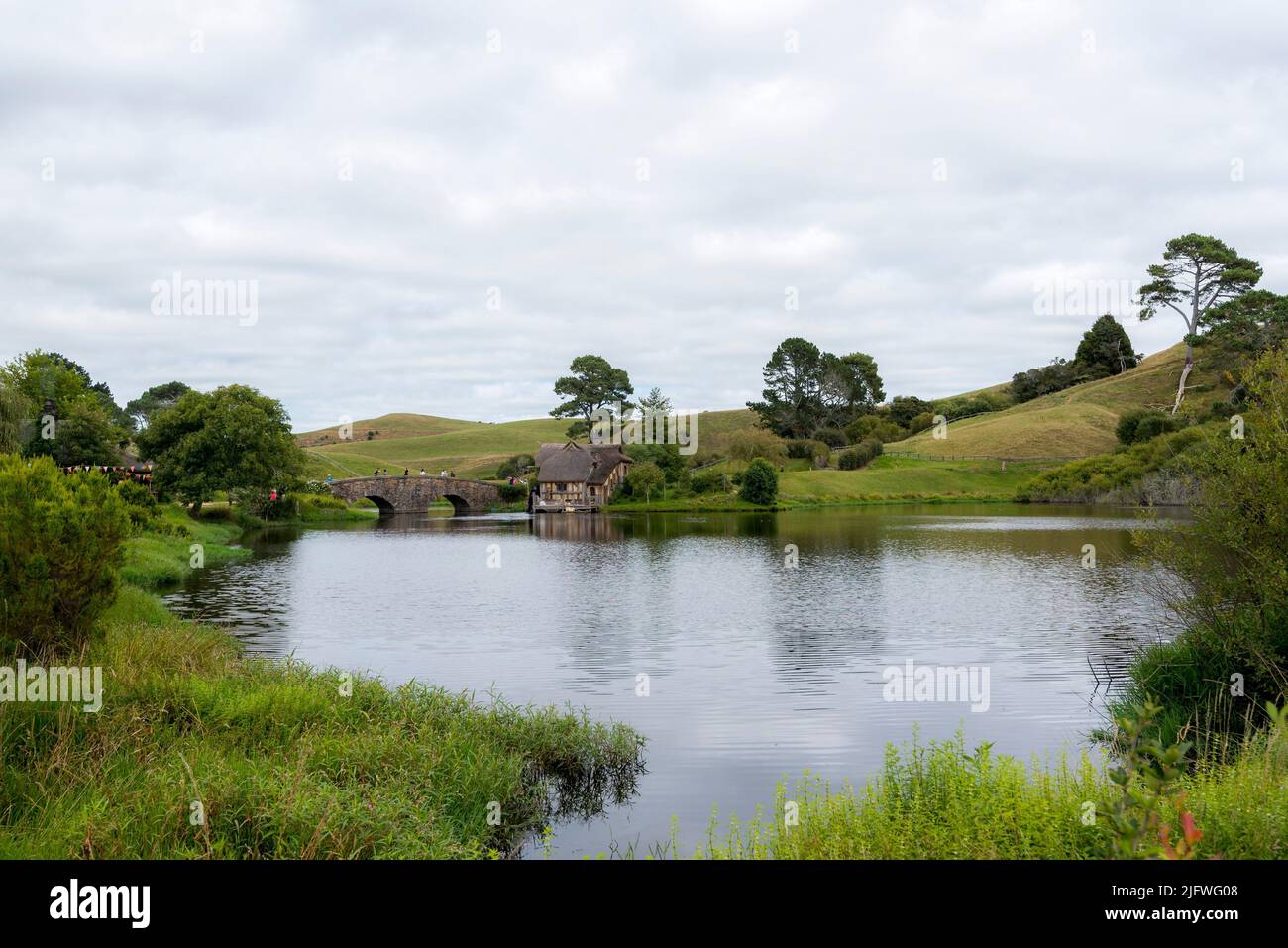 A beautiful landscape of a lake in greenery in North Island, New ...