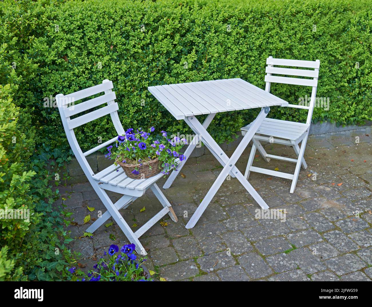 Two courtyard chairs and table in a secluded and private garden at home ...