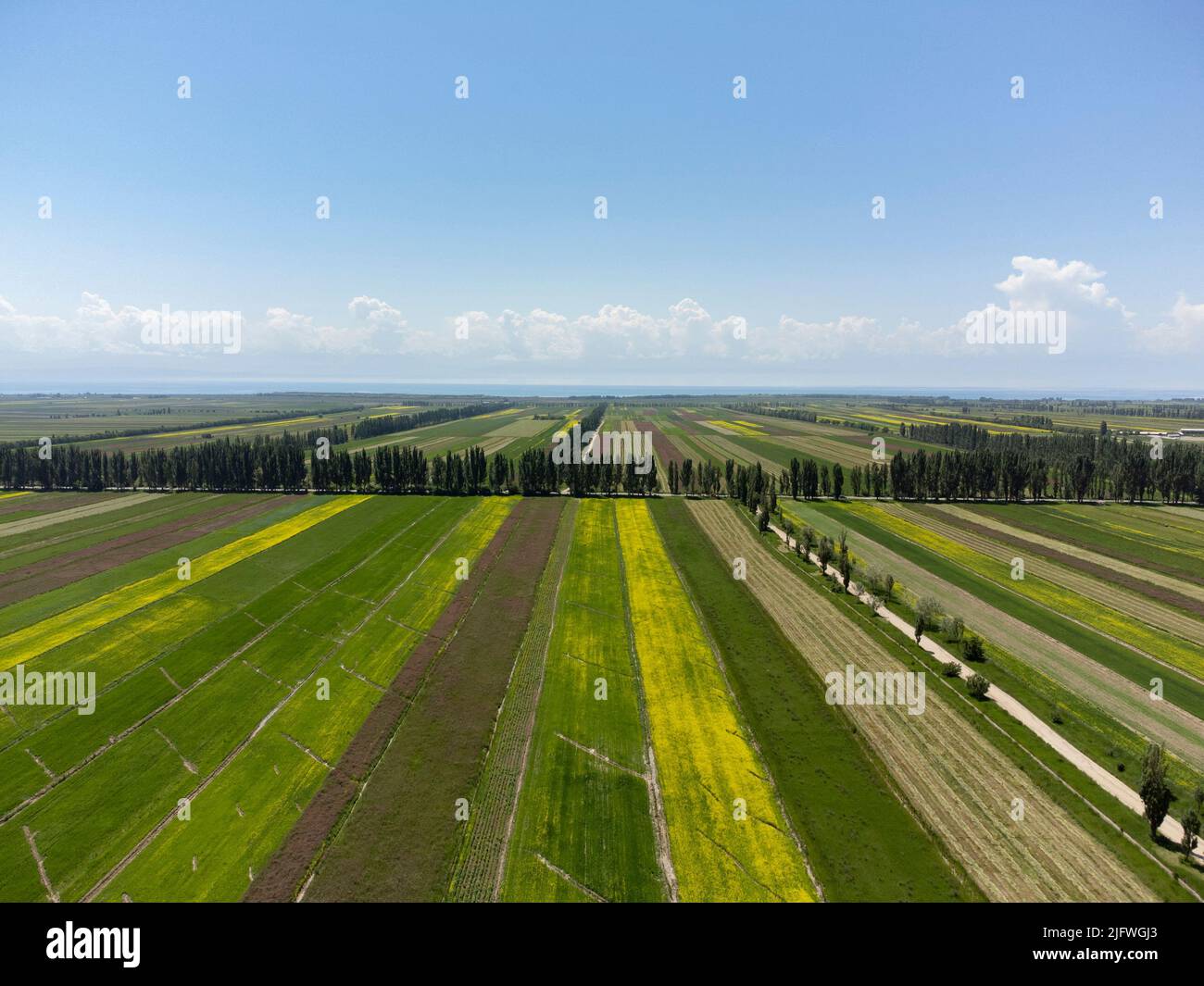 Aerial view of colorful fields growing in Kyrgyzstan Stock Photo - Alamy