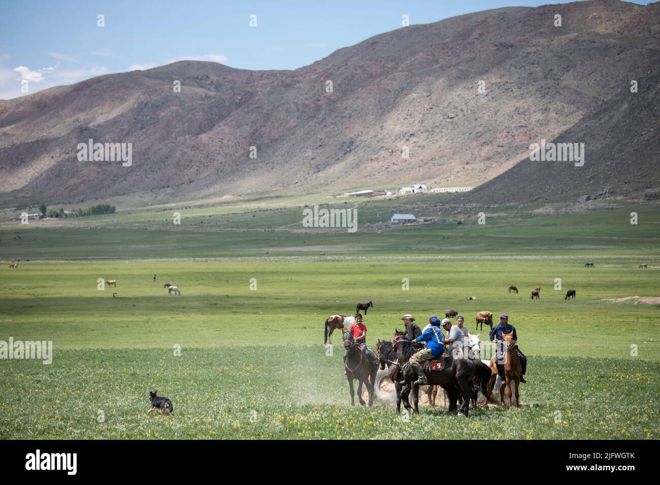 Dead goat hi-res stock photography and images - Alamy
