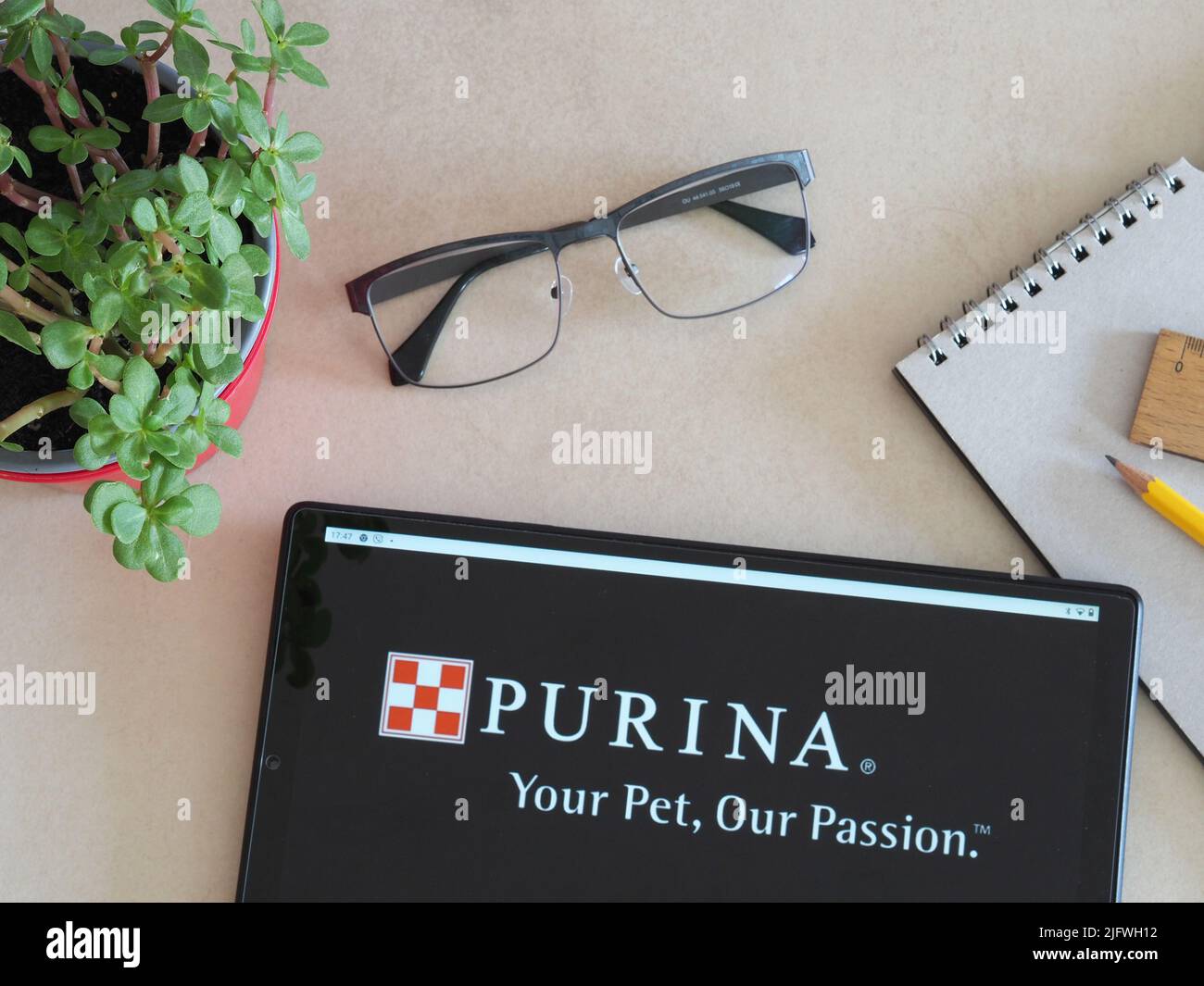 In this photo illustration Nestle Purina Petcare, or simply Purina logo ...