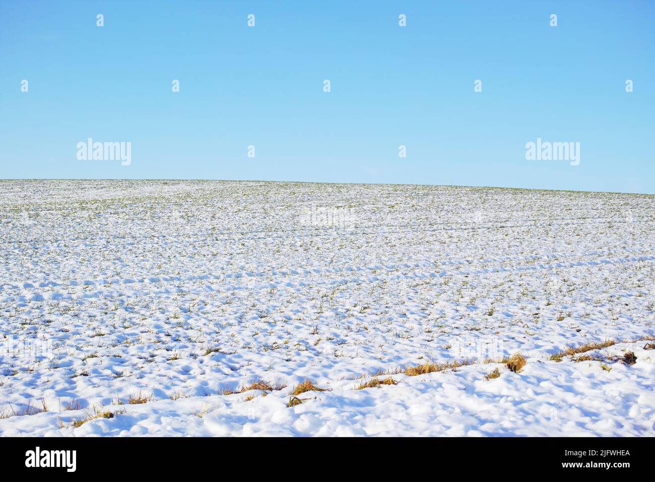 Ground covered in snow in winter. Frozen twigs and leaves in frost ...