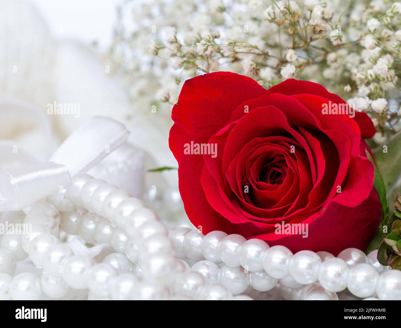 Beautiful Red Roses With Pearls