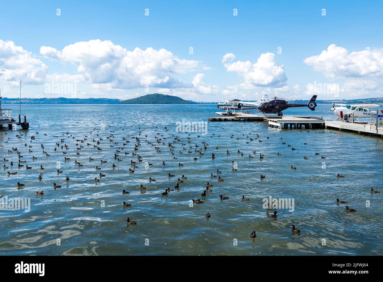 A beautiful landscape of blue lake Rotorua, North Island, New Zealand ...