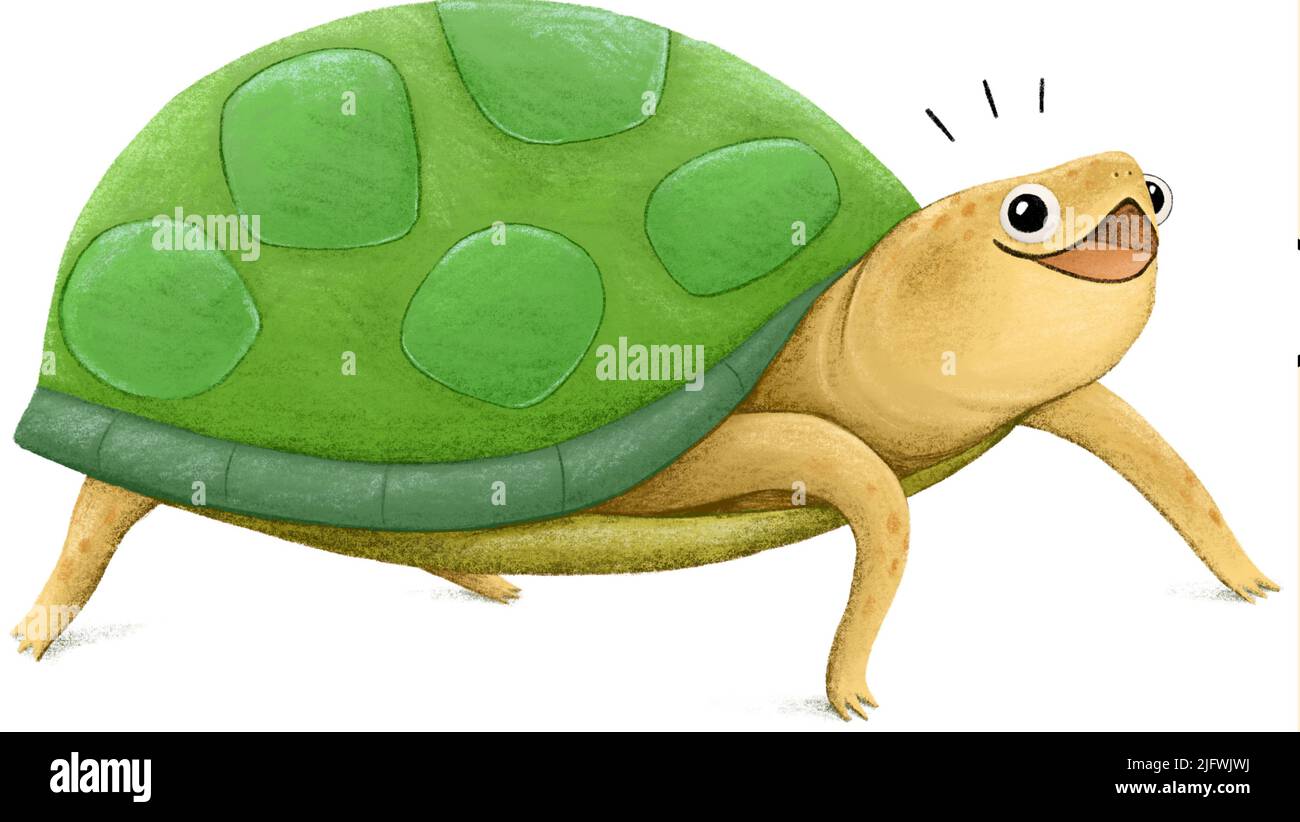 Snazzy Tortoise original illustration Stock Photo - Alamy